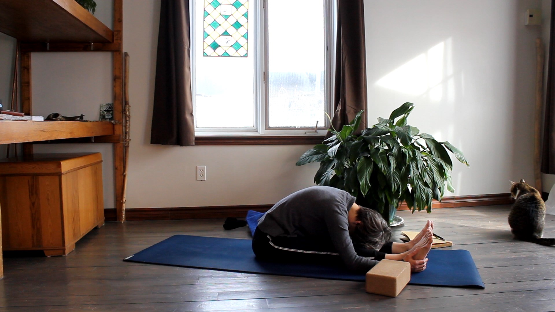 yogani.ca – yoga gaspesie, new richmond, qc